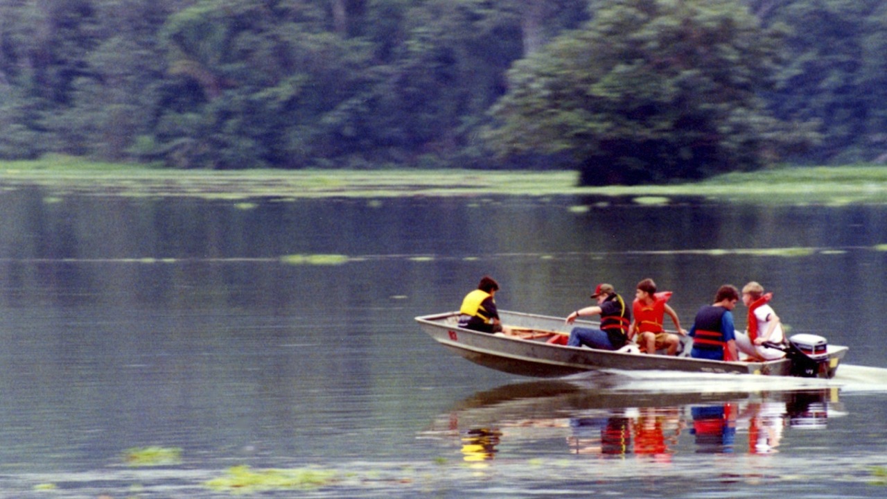 Exploring the Magic of Summer Camp